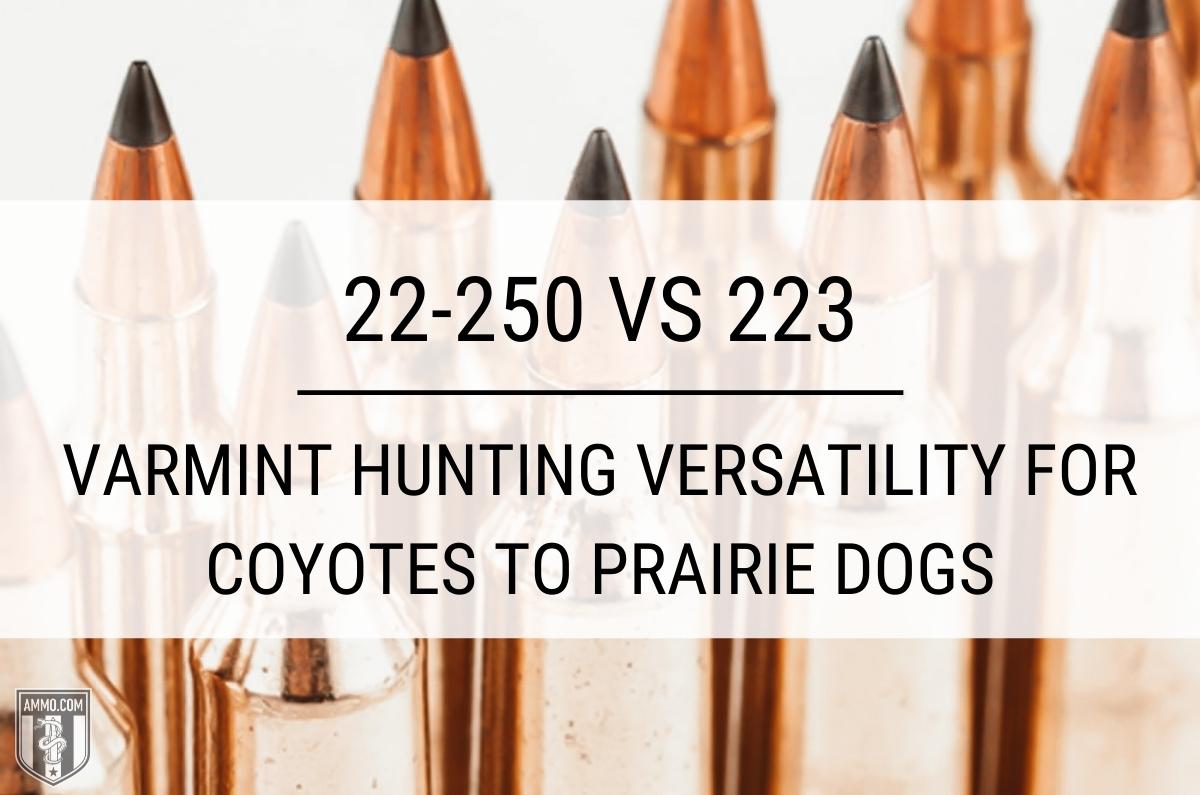 22 250 Vs 223 Hunting Caliber Comparison By Ammo