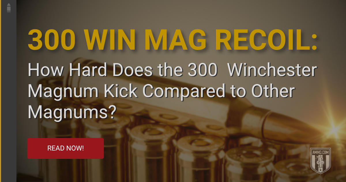 300 Win Mag Recoil: How Hard Does the 300 Winchester Magnum Kick?
