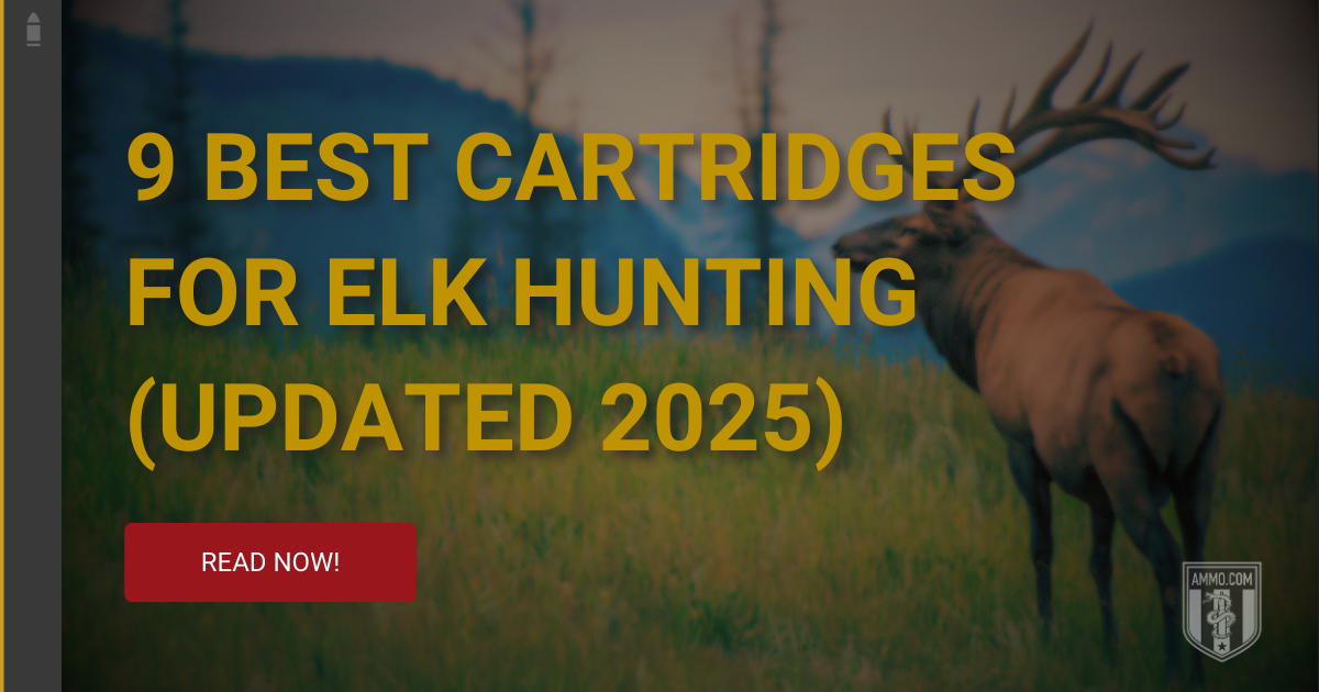 9 Best Cartridges for Elk Hunting [Updated 2025]