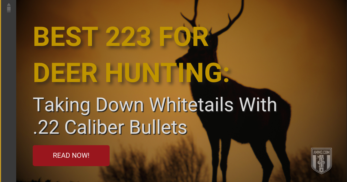 Best 223 for Deer Hunting: Taking Down Whitetails With .22 Caliber Bullets