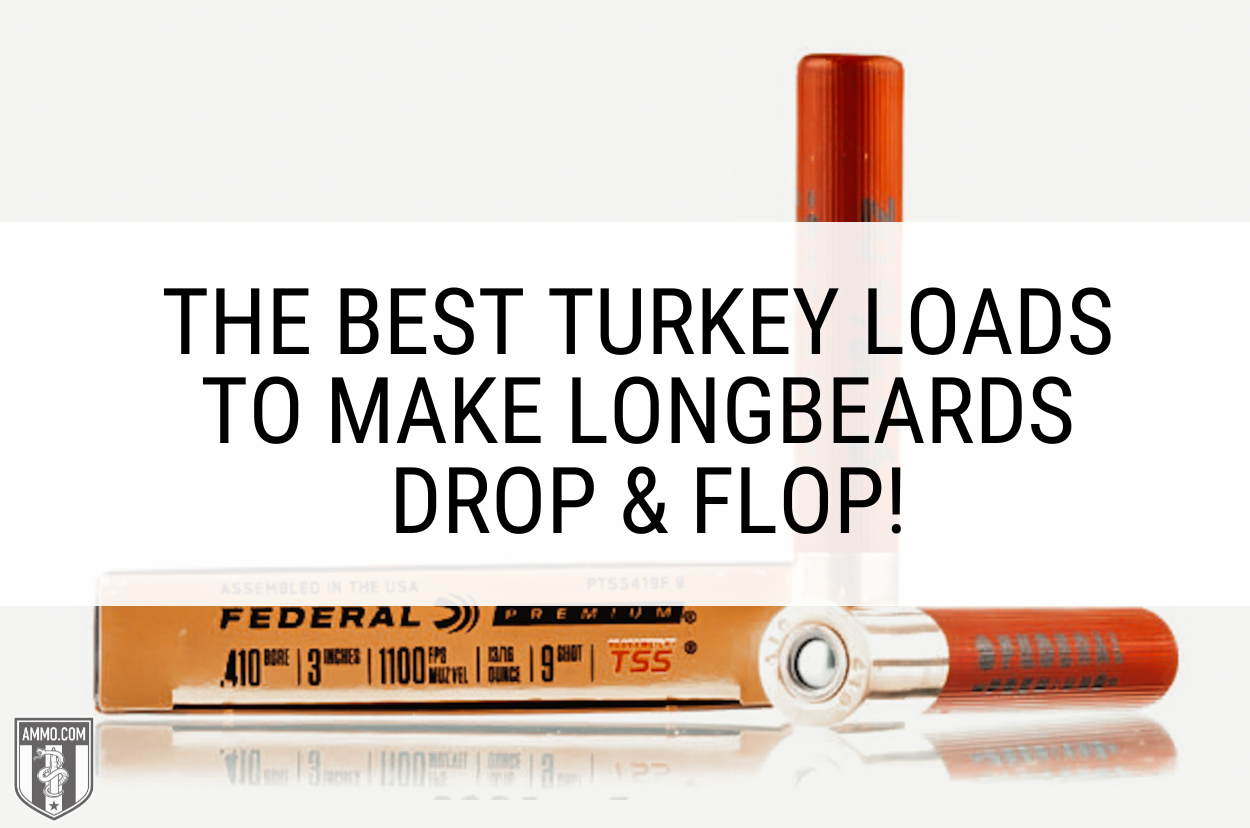 7 Best Turkey Loads To Drop Longbeards This Spring & Fall