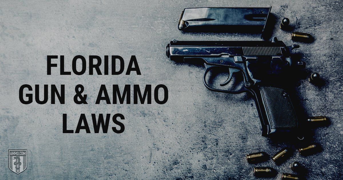 Florida Gun & Ammo Laws: How Florida Treats the 2nd Amendment
