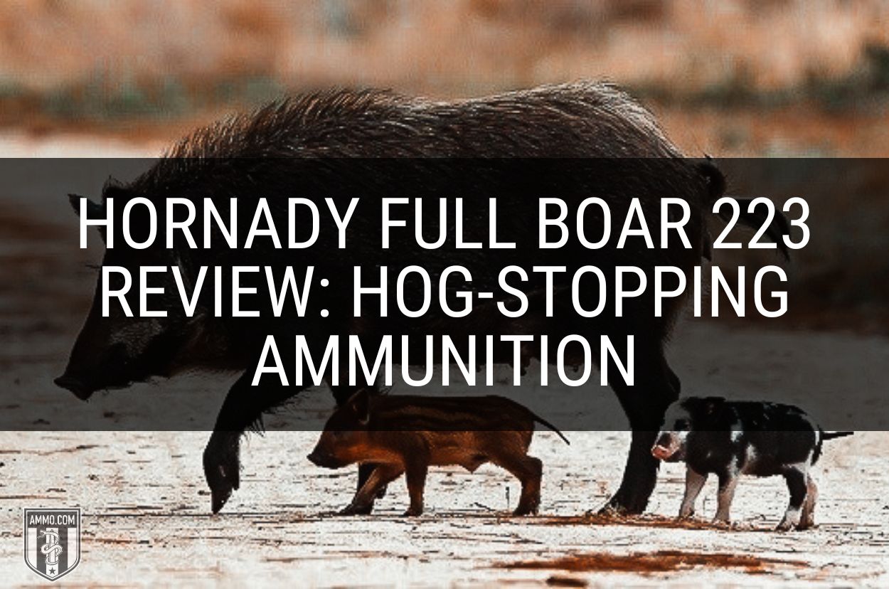 Hornady Full Boar Review: Hog-Stopping Ammunition