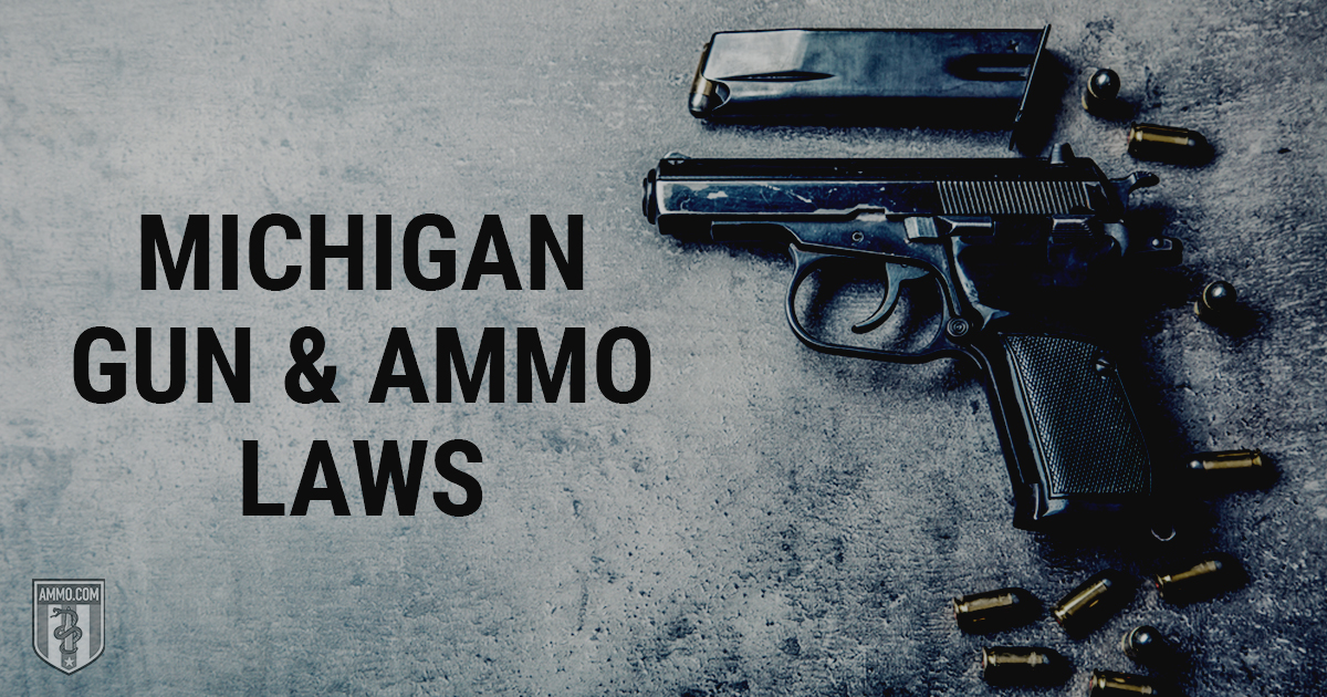 Michigan Gun & Ammo Laws: How Michigan Treats the 2nd Amendment